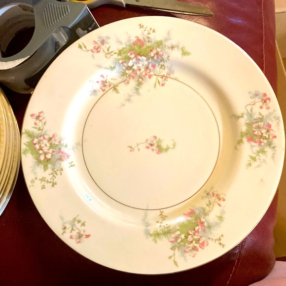 Theodore Haviland New York | Dining | Theodore Haviland Apple Blossom ...